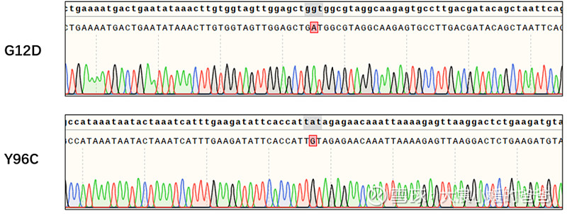 $加科思-B(01167)$ KRAS-G12D突变抑制剂筛选细胞 康源 博创生物 2023-02-01 08:51 发... - 雪球
