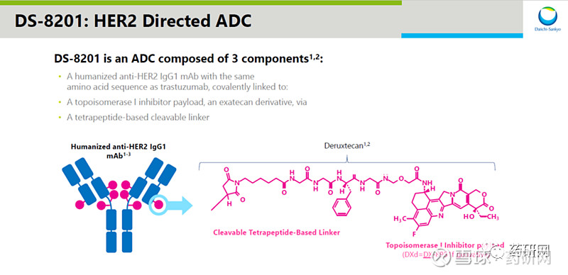 2022年HER2 ADC营收发布，HER2靶向药如何破局 2023年1月17日， 恒瑞医药 子公司盛迪亚旗下的HER2 ADC药物注射用SHR-A1811获批临床，用于治疗HER... - 雪球