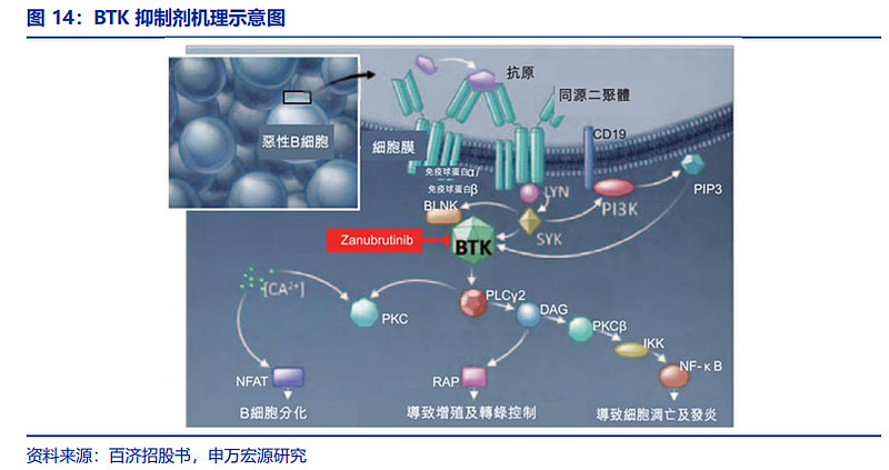 礼来强势杀进BTK抑制剂赛道，“后来者”如何突围？ 近年来，在 强生 /艾伯维、 阿斯利康 等MNC巨头和 百济神州 、 诺诚健华 等国内药企 ...