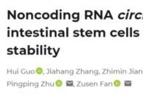 EMBO J：揭示circRNA负向调控肠道干细胞自我更新的新机制 肠道是体内最大的消化吸收器官和外周免疫器官，主要包括肠上皮和固有层两部分。肠上皮的所有成熟细胞均由位于隐窝底部的肠道干细 ...
