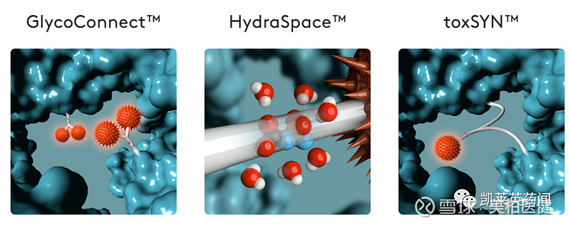 开年第三次授权，Synaffix最佳ADC技术再获认可！ 2023年2月6日，Synaffix与总部位于韩国的 全球制药 公司 ...