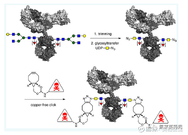 开年第三次授权，Synaffix最佳ADC技术再获认可！ 2023年2月6日，Synaffix与总部位于韩国的 全球制药 公司 ...