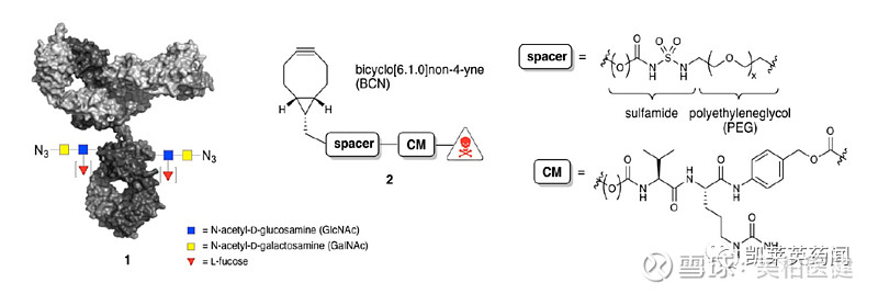 开年第三次授权，Synaffix最佳ADC技术再获认可！ 2023年2月6日，Synaffix与总部位于韩国的 全球制药 公司 ...