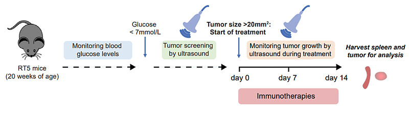 罗氏推进PD1-IL2v，重点针对PD-（L）1耐药 2022年9月28日Roche创新中心在Nature发表了其PD1-IL2双功能分子，最近又在Immunity发表了新文... - 雪球