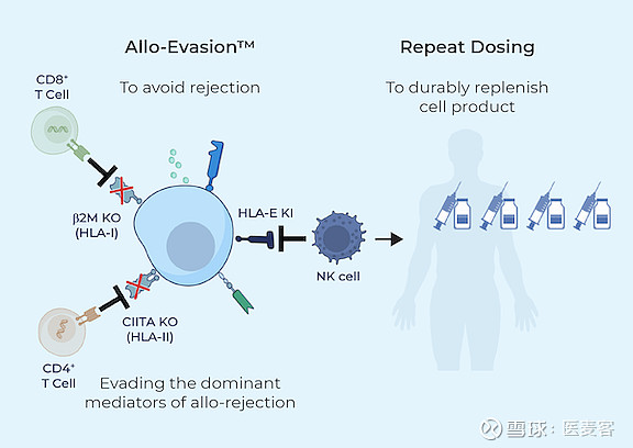 Century：继Fate之后首个进入临床的iPSC CAR-NK企业，实力非比寻常！ 2023年2月11日/医麦客新闻 eMedClub ...
