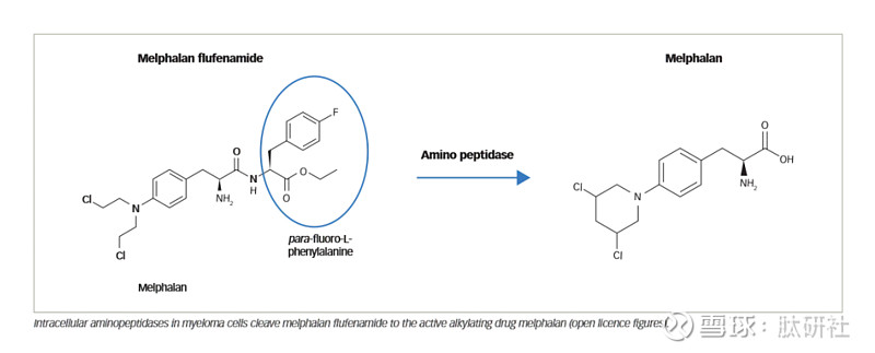 一图速览 | 黄粱一梦 Oncopeptides 企业简介Oncopeptides AB2000年成立于瑞典，2017年在NASDAQ ...
