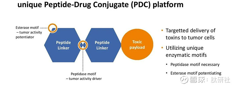一图速览 | 黄粱一梦 Oncopeptides 企业简介Oncopeptides AB2000年成立于瑞典，2017年在NASDAQ Stockholm上市（ONCO）... - 雪球