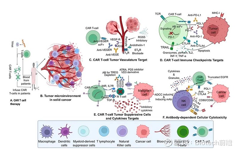 Mol Cancer丨罕见肿瘤的免疫治疗 ——期刊介绍——期刊名：Molecular cancer ， 缩写：MOL CANCER ， 2022年影响因子/JCR... - 雪球