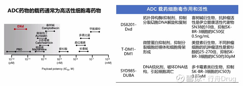 ADC药物的研发现状与开发挑战 点击上方的 行舟Drug 添加关注 肿瘤资讯整理了浙江省肿瘤医院宋正波教授ADC药物的研发现状与开发挑战，主要 ...