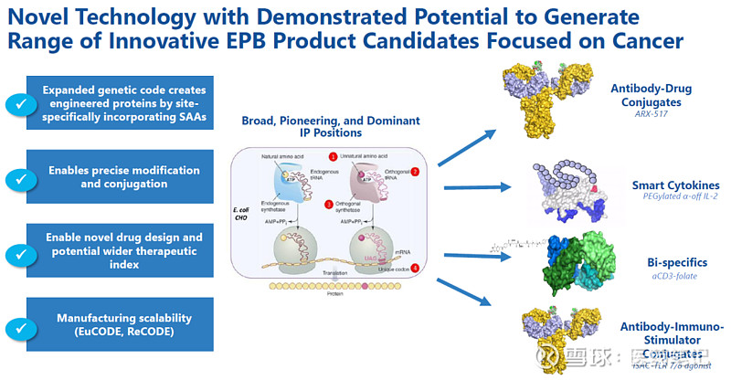 Ambrx股价涨54%：公布PSMA ADC一期临床数据 Armstrong 2023年2月16日， Ambrx Biopharma 公布 ...