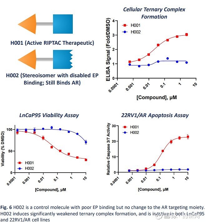 Crews公司首发管线AR RIPTAC最新研究数据公布 2月15日，药研网介绍了PROTAC先驱Crews创立的新公司Halda ...