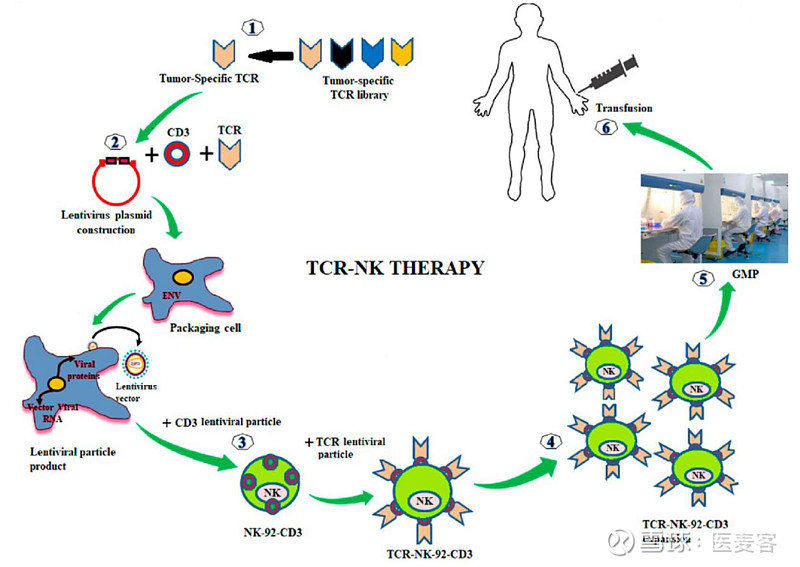 TCR-NK，真的有必要吗？ 2023年2月19日/医麦客新闻 eMedClub News/--近日，一家致力于基因组编辑（genome writin... - 雪球