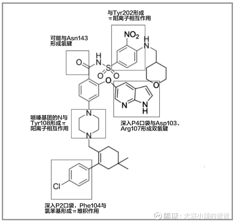 $亚盛医药-B(06855)$ BCL-2靶点：亚盛医药APG-2575 vs 百济神州BGB-11417原创 秋春20... - 雪球