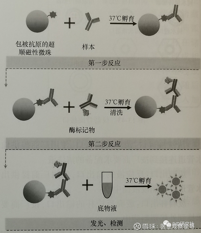 一文概览：化学发光免疫分析仪 《IVD仪器地图》系列，根据NMPA，统计有效期注册证。注册证关键词：免疫分析仪、化学发光。数据截至：2022年12月3... - 雪球