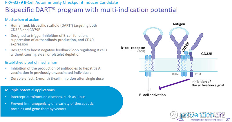 华东医药：自免双抗CD32B/CD79B申报临床 Armstrong 2023年2月21日， 华东医药 PRV-3279的临床试验申请获得 ...