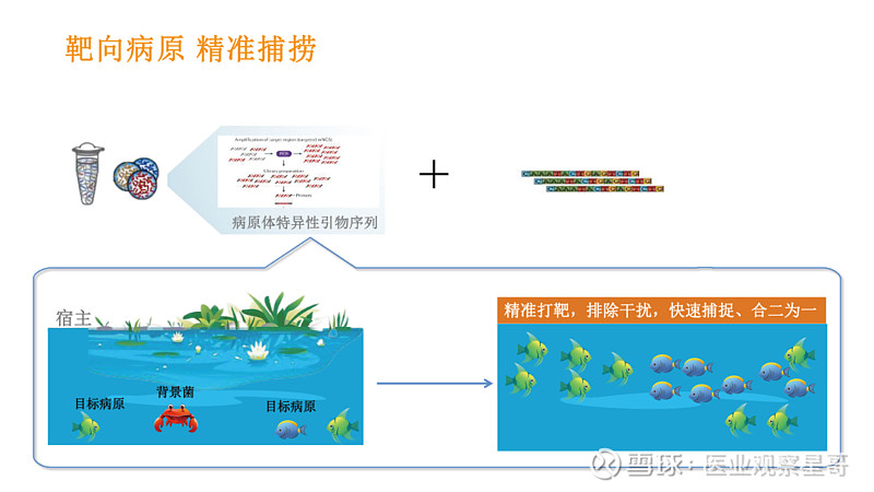 年检测量超17万例，金域tNGS一上市便成临床诊断爆款 有观点，有态度 这是医业观察的第1698-6期文章 来源： 金域医学 过去一年，感染性疾病领域精准诊断最火的技术是什么... - 雪球