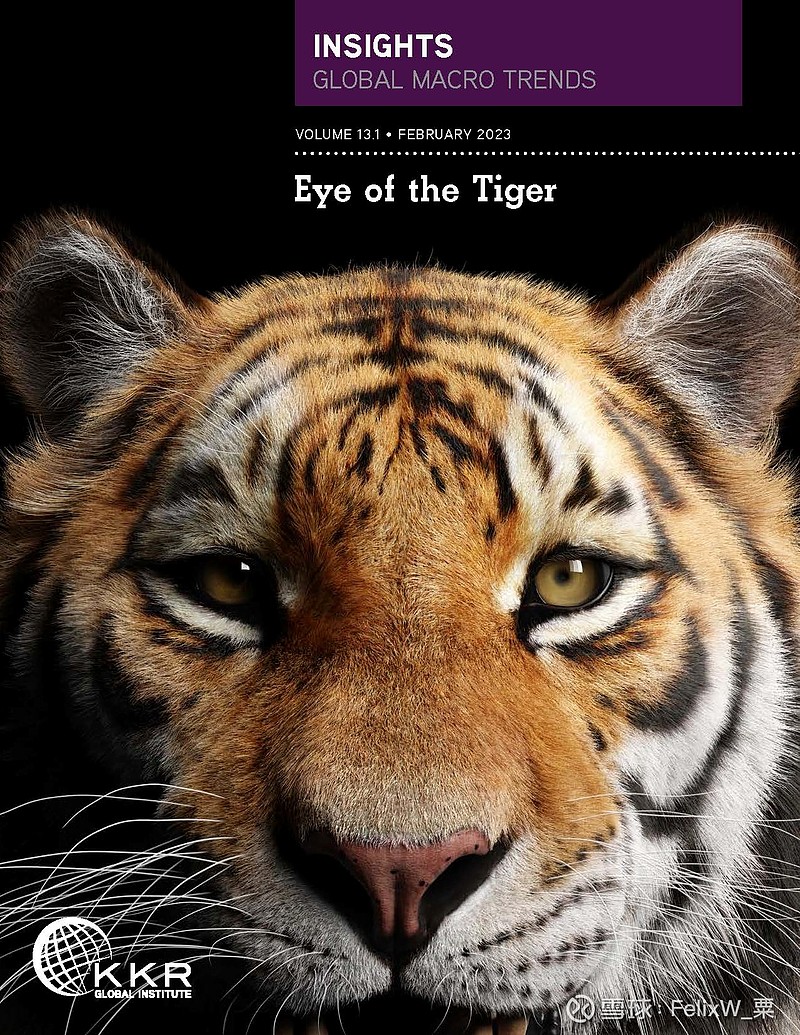2023-02-22 KKR - Global Macro Trends：Eye of the Tiger #今日话题# #宏观经济# #投资 ...