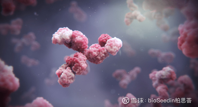 mAbs发表双抗、三抗新结构——TrYbe，无Fc段延长半衰期 mAbs发表双抗、三抗新结构——TrYbe，无Fc段延长半衰期2023-02-24 08:55前言目前，正在开发中的双/... - 雪球