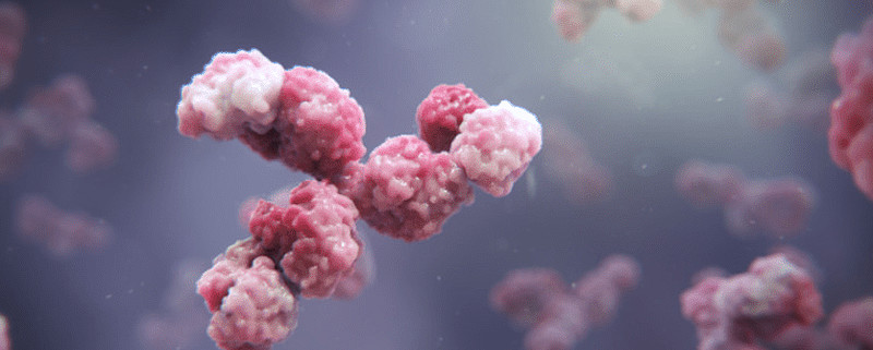 mAbs发表双抗、三抗新结构——TrYbe，无Fc段延长半衰期 mAbs发表双抗、三抗新结构——TrYbe，无Fc段延长半衰期2023-02-24 08:55前言目前，正在开发中的双/... - 雪球