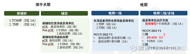 DS-8201中国获批，T-DM1降价应对，罗氏与AZ对拼 ——DS-8201快讯——2023年2月24日，中国国家药监局（NMPA）官网最新公示， 阿斯利康 （AstraZene... - 雪球