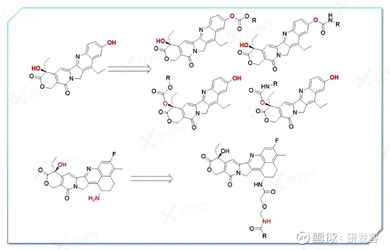 自动化合成如何赋能ADC药物研发？| 资讯 抗体偶联药物(Antibody–Drug Conjugates，ADC) 又被称为“魔术子弹“，近 ...
