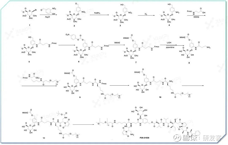 自动化合成如何赋能ADC药物研发？| 资讯 抗体偶联药物(Antibody–Drug Conjugates，ADC) 又被称为“魔术子弹“，近 ...