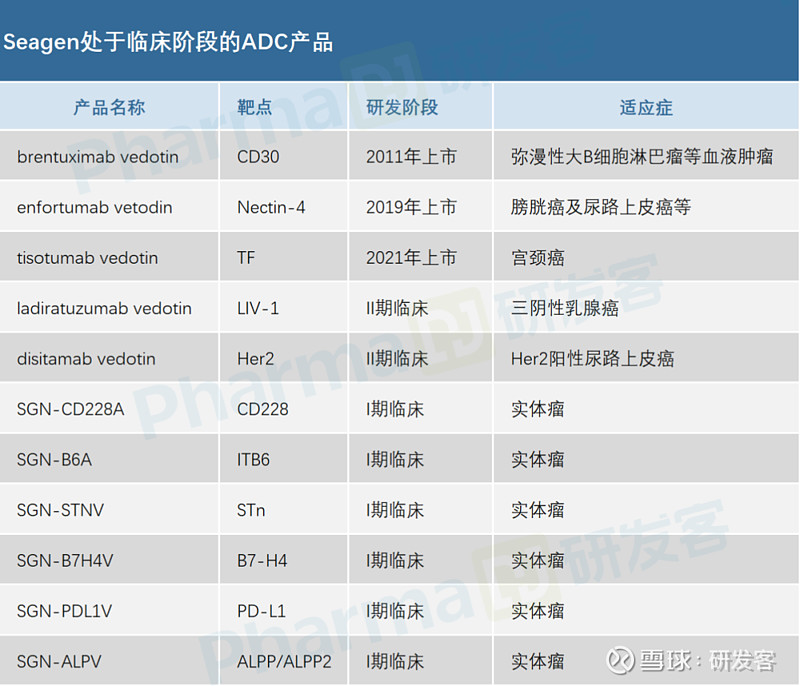 Seagen值多少钱？或已错过ADC估值高峰 | 第一现场 辉瑞 并不需要抱紧 Seagen 不放，但这项交易对Seagen而言，很可能是“过了这个村，就没这个店”。 数日前，《华... - 雪球