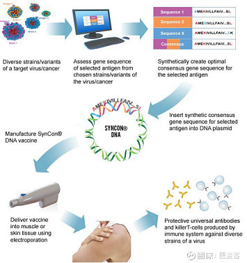 全球首个HPV治疗性DNA疫苗3期数据公布，有望中美同步上市 2023年3月2日/医麦客新闻 eMedClub News/--美国时间2023 ...