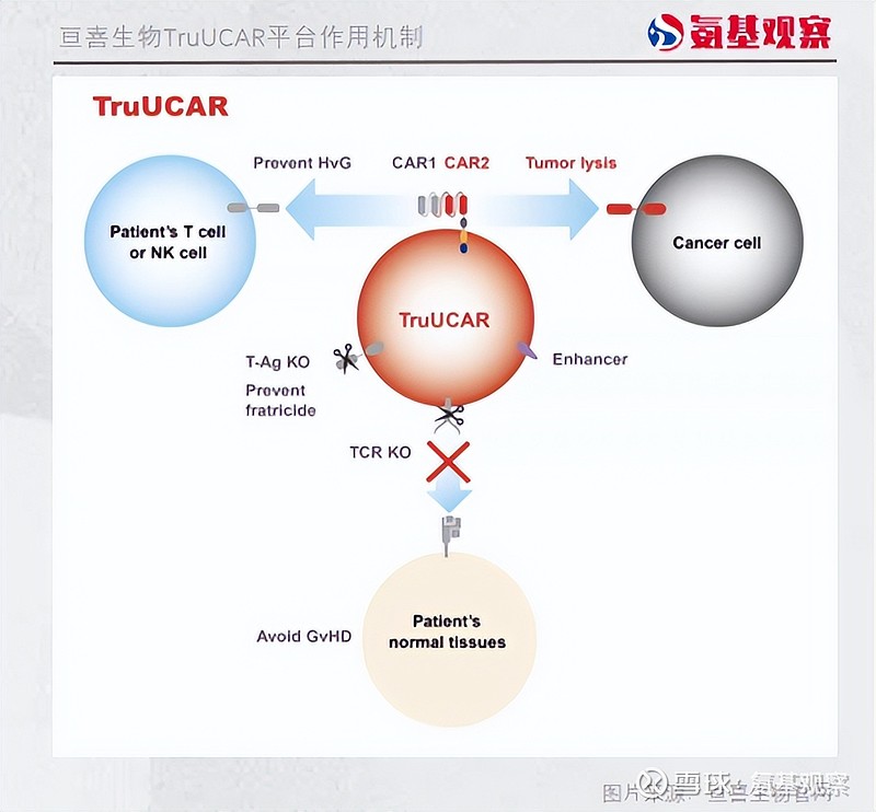 异体CAR-T的理想与现实：价易降但效难提 被期待成为game changer的异体CAR-T，似乎陷入了两难境地。从眼下的数据来看，异体CAR-T和自体CAR-T... - 雪球