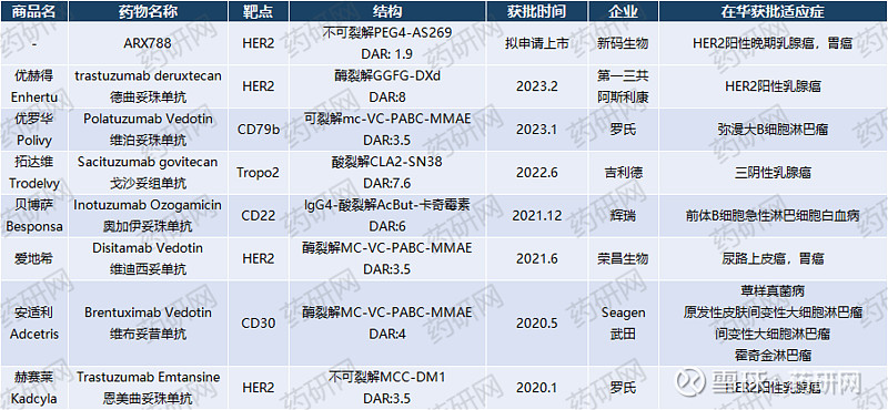 从新码生物ADC看国内ADC竞争格局 2023年3月1日， 浙江医药 公告下属控股子公司新码生物的HER2 ADC药物ARX788的II ...