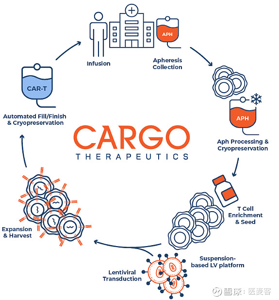 CAR-T治疗再复发？“兜底”企业CARGO获2亿美元押注 2023年3月6日/医麦客新闻 eMedClub News/--近日， CARGO ...