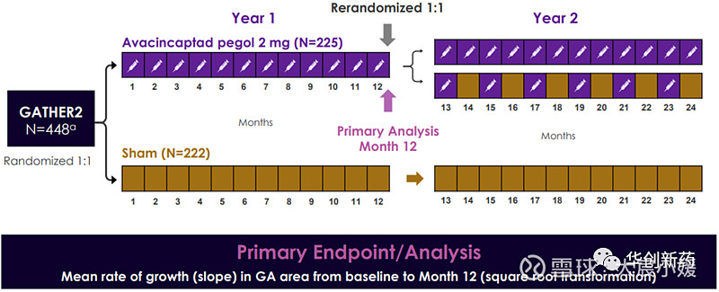 $圣诺医药-B(02257)$ 创新药周报20230305：首款地图样萎缩疗法Syfovre获批原创 华创新药 2023... - 雪球