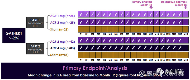 $圣诺医药-B(02257)$ 创新药周报20230305：首款地图样萎缩疗法Syfovre获批原创 华创新药 2023... - 雪球
