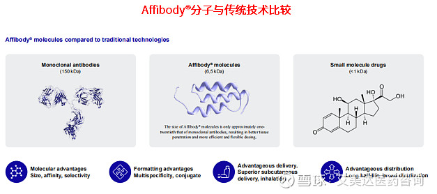 呼吸系统疾病创新吸入疗法获6.37亿美元投资 2023年3月7日，意大利生物公司Chiesi和瑞典生物公司Affibody同时公布了一项合作 ...