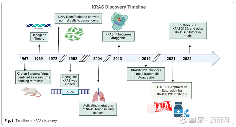 聚焦激酶：EGFR、KRAS 2001年，首个小分子酪氨酸激酶抑制剂（TKI）伊马替尼获批，代表了小分子激酶抑制剂正式打开了癌症靶向治疗的大门，该药也... - 雪球