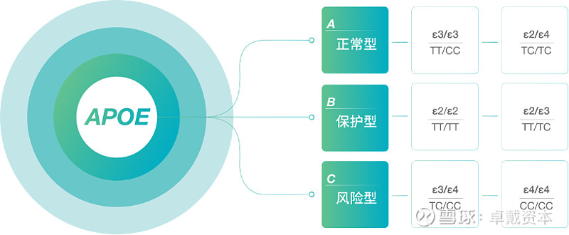 ApoE基因检测，为您的健康保驾护航 ApoE基因检测现代社会人口老龄化加剧，心脑血管疾病、老年痴呆等疾病发病率越来越高，而且发病后药物干预 ...