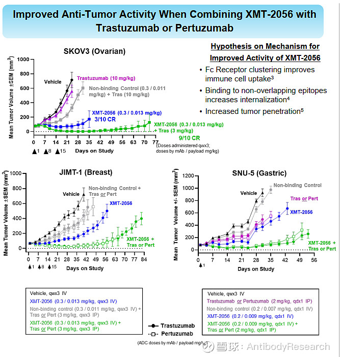 GSK再次打水漂，Mersana激动型HER2 ADC导致死亡事件发生，临床暂停 追溯2023年3月13日， Mersana Therapeutics 宣布XMT-2056一期临床试验临床暂停 ...