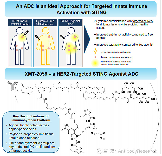 GSK再次打水漂，Mersana激动型HER2 ADC导致死亡事件发生，临床暂停 追溯2023年3月13日， Mersana ...