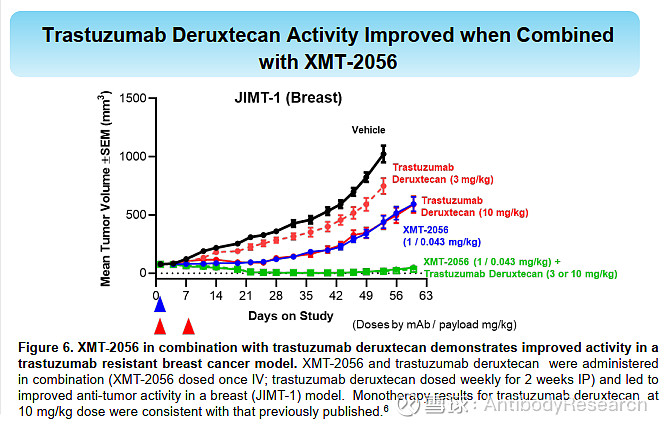 GSK再次打水漂，Mersana激动型HER2 ADC导致死亡事件发生，临床暂停 追溯2023年3月13日， Mersana Therapeutics 宣布XMT-2056一期临床试验临床暂停 ...