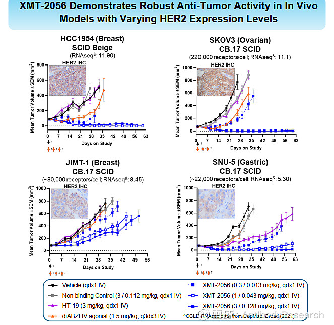 GSK再次打水漂，Mersana激动型HER2 ADC导致死亡事件发生，临床暂停 追溯2023年3月13日， Mersana Therapeutics 宣布XMT-2056一期临床试验临床暂停 ...