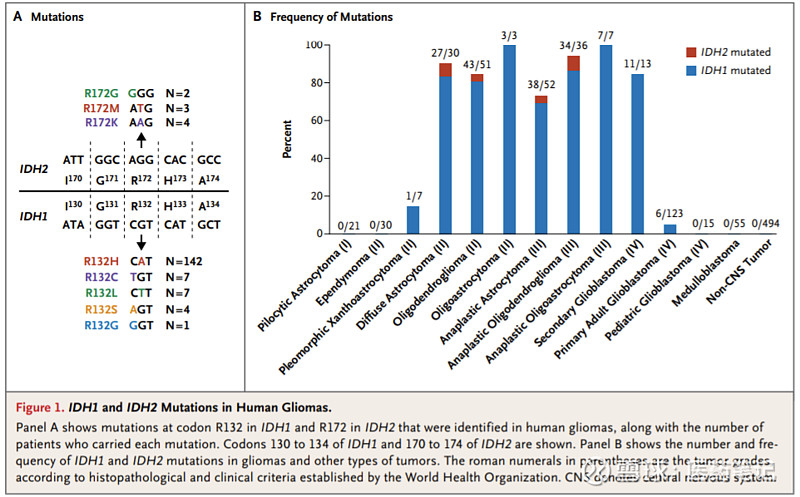 施维雅：IDH1/2抑制剂胶质瘤三期临床成功 Armstrong 2023年3月14日，法国药企施维雅宣布IDH1/2抑制剂 ...