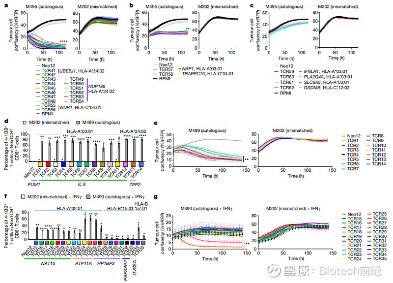 Nature丨新抗原靶向CD8+T细胞应答是PD-1治疗关键 免疫治疗，是继手术、放疗、化疗、靶向治疗之后的又一个抗肿瘤手段，在带来部分肿瘤患者长期治愈的同时，我们也需要知道，很多患... - 雪球