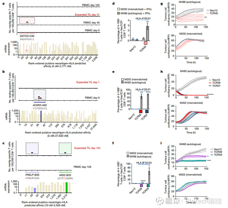 Nature丨新抗原靶向CD8+T细胞应答是PD-1治疗关键 免疫治疗，是继手术、放疗、化疗、靶向治疗之后的又一个抗肿瘤手段，在带来部分肿瘤患者长期治愈的同时，我们也需要知道，很多患... - 雪球