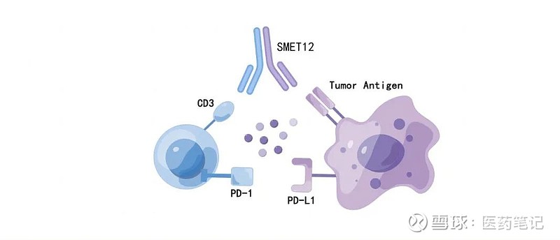 全球领先，时迈药业源头创新EGFR×CD3双抗SMET12联合特瑞普利单抗获NMPA批准临床 2023年3月8日，浙江时迈药业有限公司EGFR ...