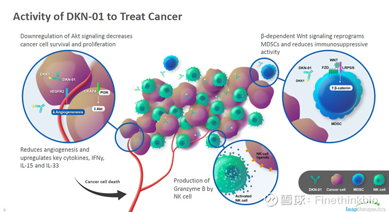 百济神州撤出，冷门靶点DKK-1单抗遭重创 对于此次终止合作，双方都没有给出明确的原因，但无疑是令人惋惜的。近日 ...