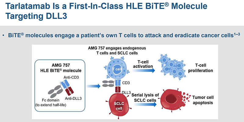 靶向DLL3，安进/百济神州递交双特异性T细胞结合器临床申请 3月15日，中国国家药监局药品审评中心（CDE）官网公示， 安进 （Amgen）和 百济神州 联合申报了1类新药tarl... - 雪球