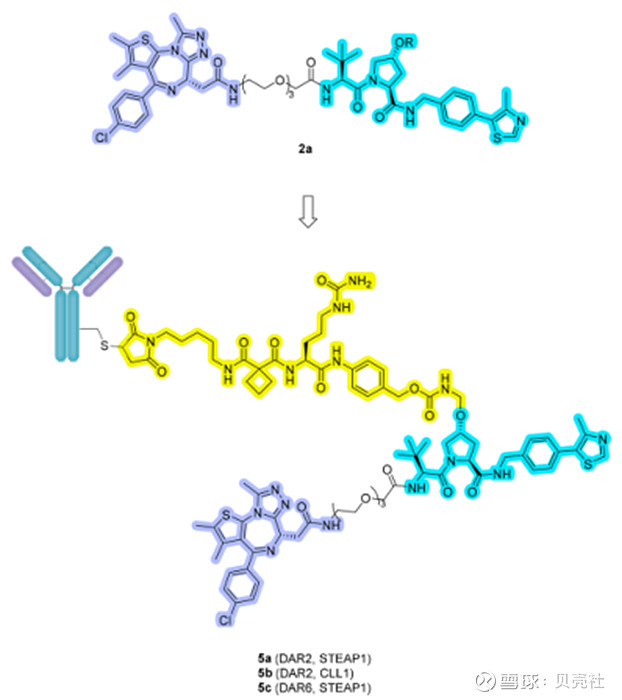 降解物-抗体偶联物（DAC），靶向降解新模式 药渡/雨巷少年 \ | / 近年来，研究人员为了更有效地递送化疗药物，一些小分子-药物偶联物 ...