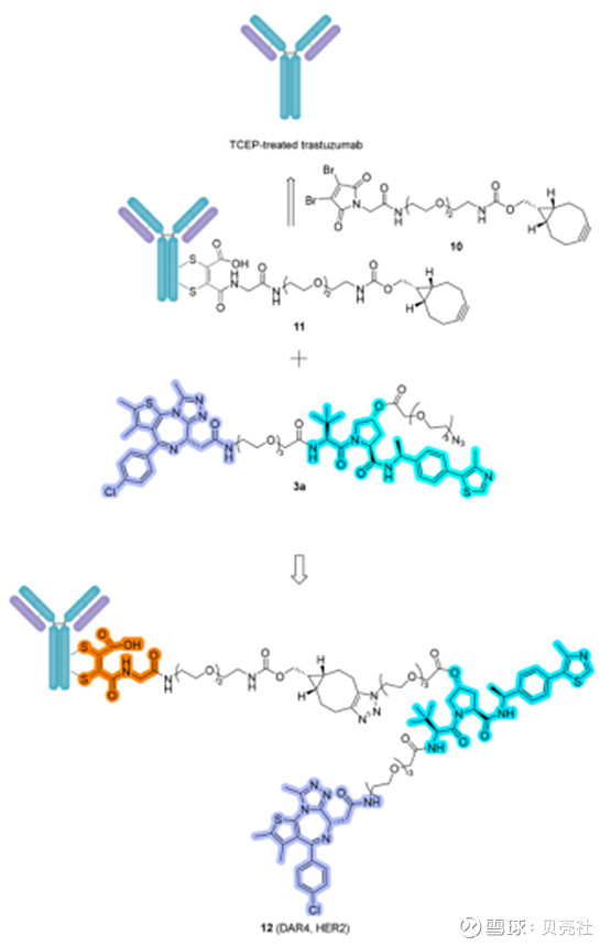 降解物-抗体偶联物（DAC），靶向降解新模式 药渡/雨巷少年 \ | / 近年来，研究人员为了更有效地递送化疗药物，一些小分子-药物偶联物 ...