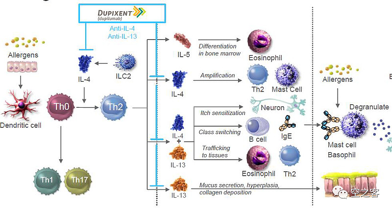 【药海听涛】北风卷地白草折：Dupilumab三期临床撞破COPD之门 Dupilumab无疑是在Humira和K药之后，下一个药王的有力争夺 ...