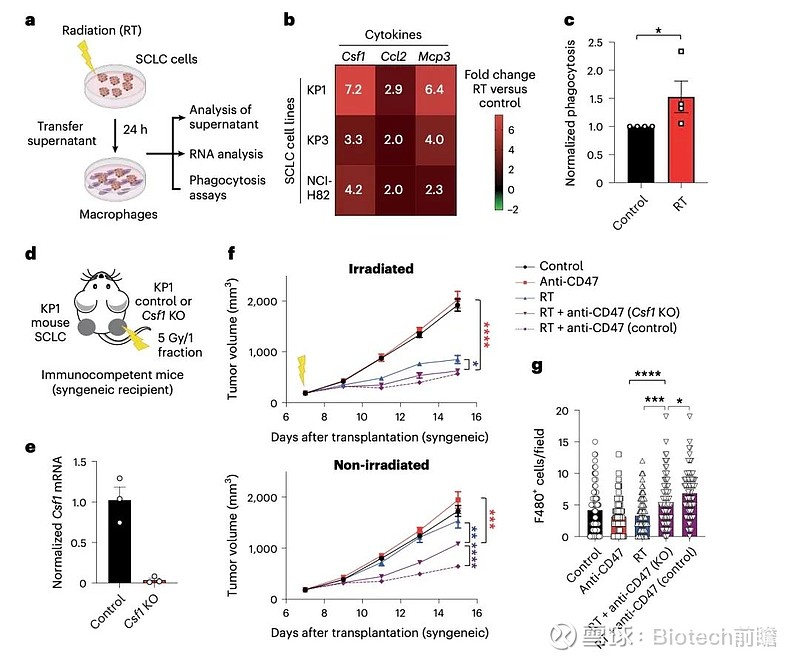 辉瑞CD47-SIRPα融合蛋白获批临床，“别吃我”靶点能否逆袭 本号持续追踪后PD-1时代的潜力靶点研究进度，既往追踪过的Claudin18 ...